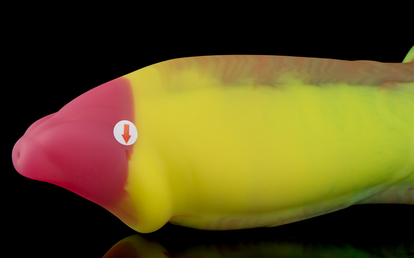 Gideon - Extra Large Flop - Weredog