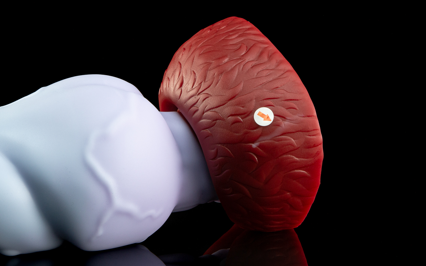 Hydra - Extra Large - Weredog